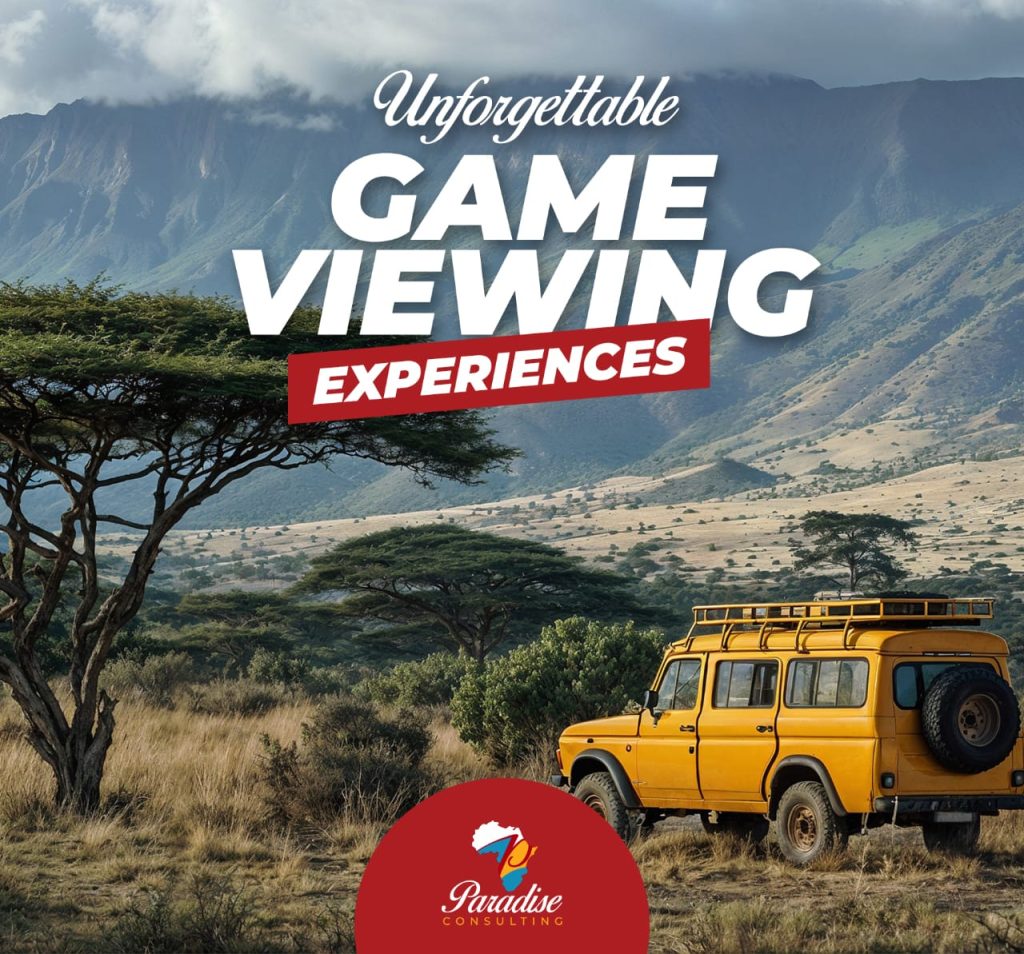 Packages - Paradise Consulting